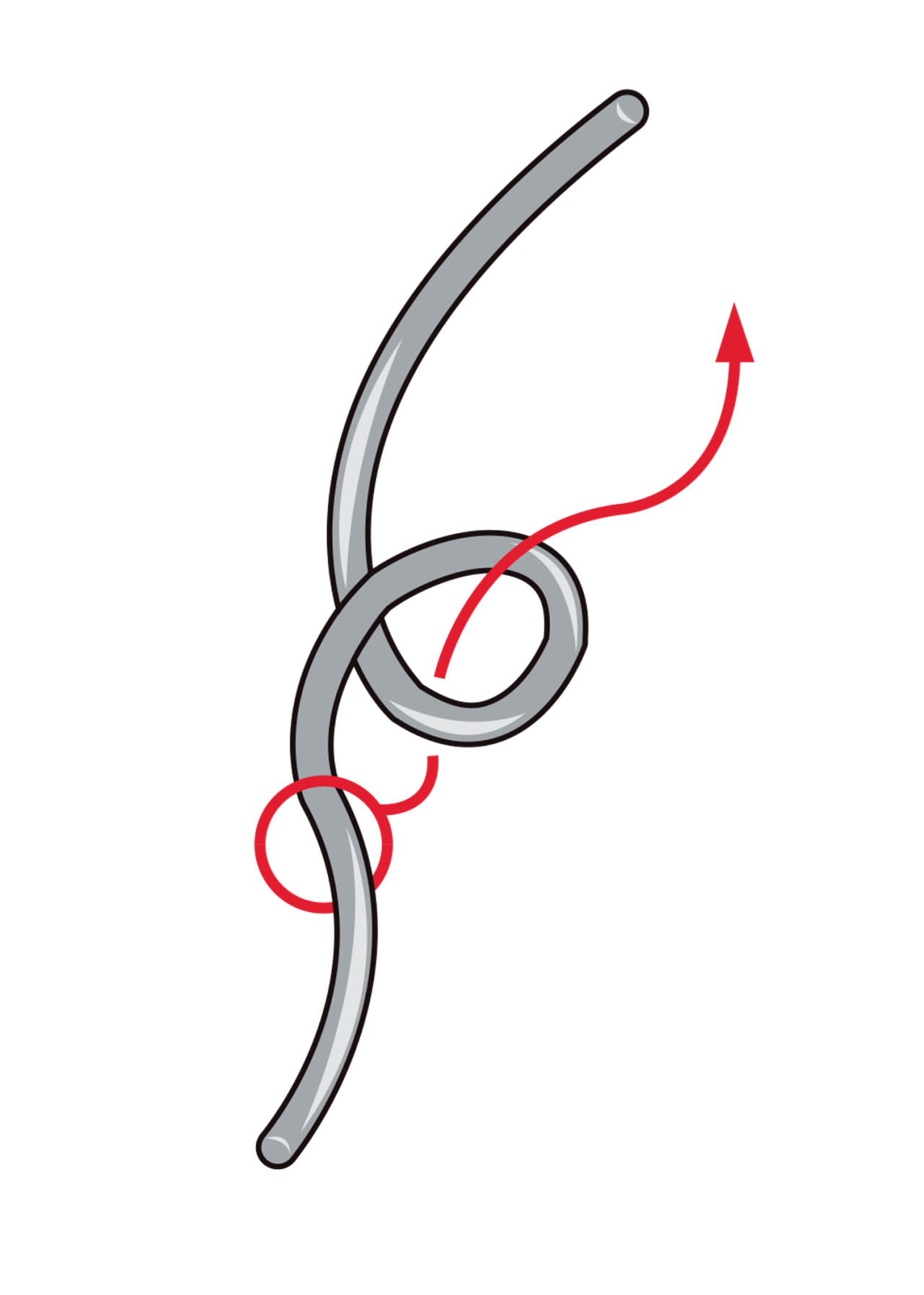 3 Must-Know Knots | RECOIL OFFGRID