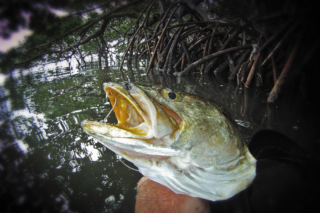 Issue 9 | RECOIL OFFGRID