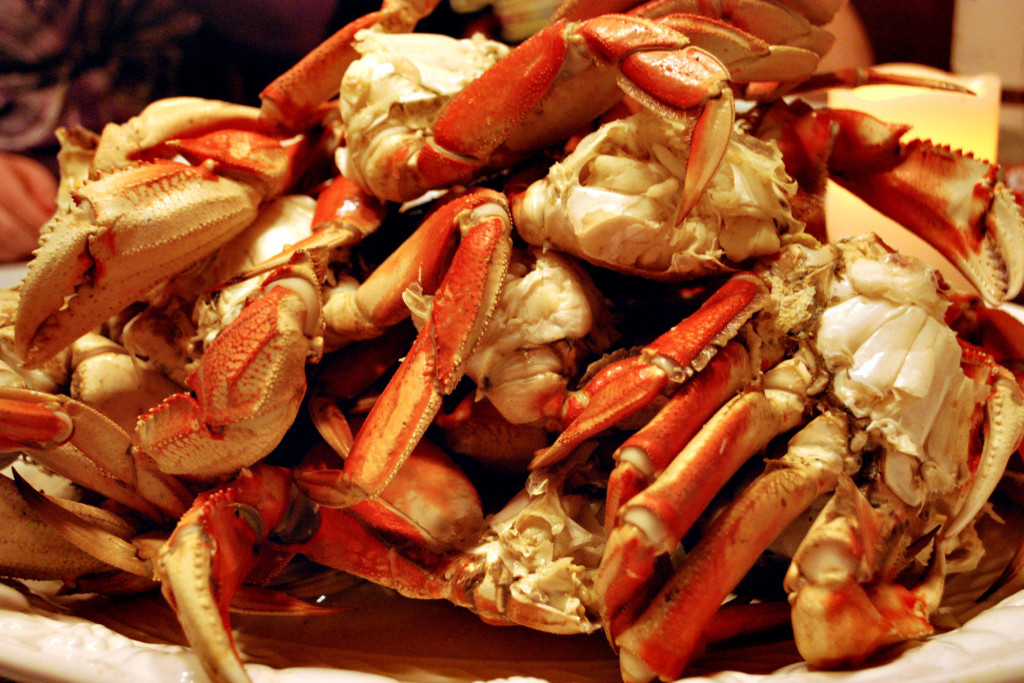 Hand Line Crabbing: How to Catch Blue Crabs Easily | RECOIL OFFGRID