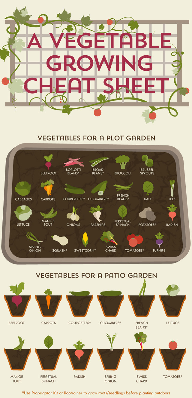 Infographic: Home Gardening Cheat Sheet | RECOIL OFFGRID