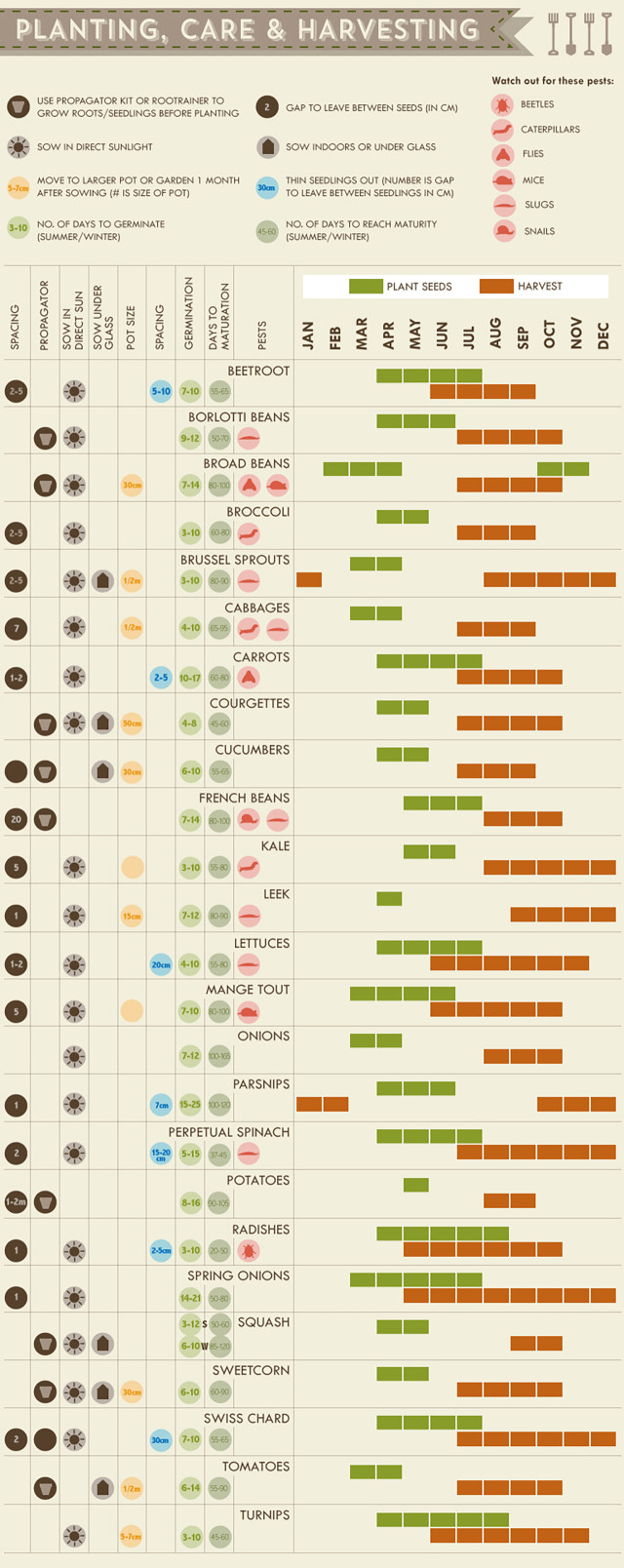 Infographic: Home Gardening Cheat Sheet | RECOIL OFFGRID