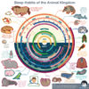 Infographic: Animal Sleep Patterns & Nocturnal Activity | RECOIL OFFGRID