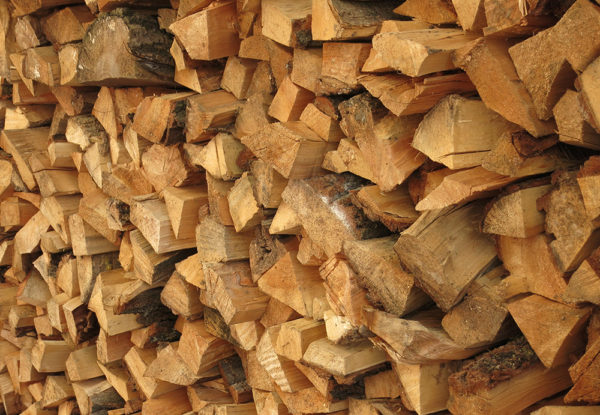 Ray Mears: Choosing and Using a Bushcraft Axe | RECOIL OFFGRID