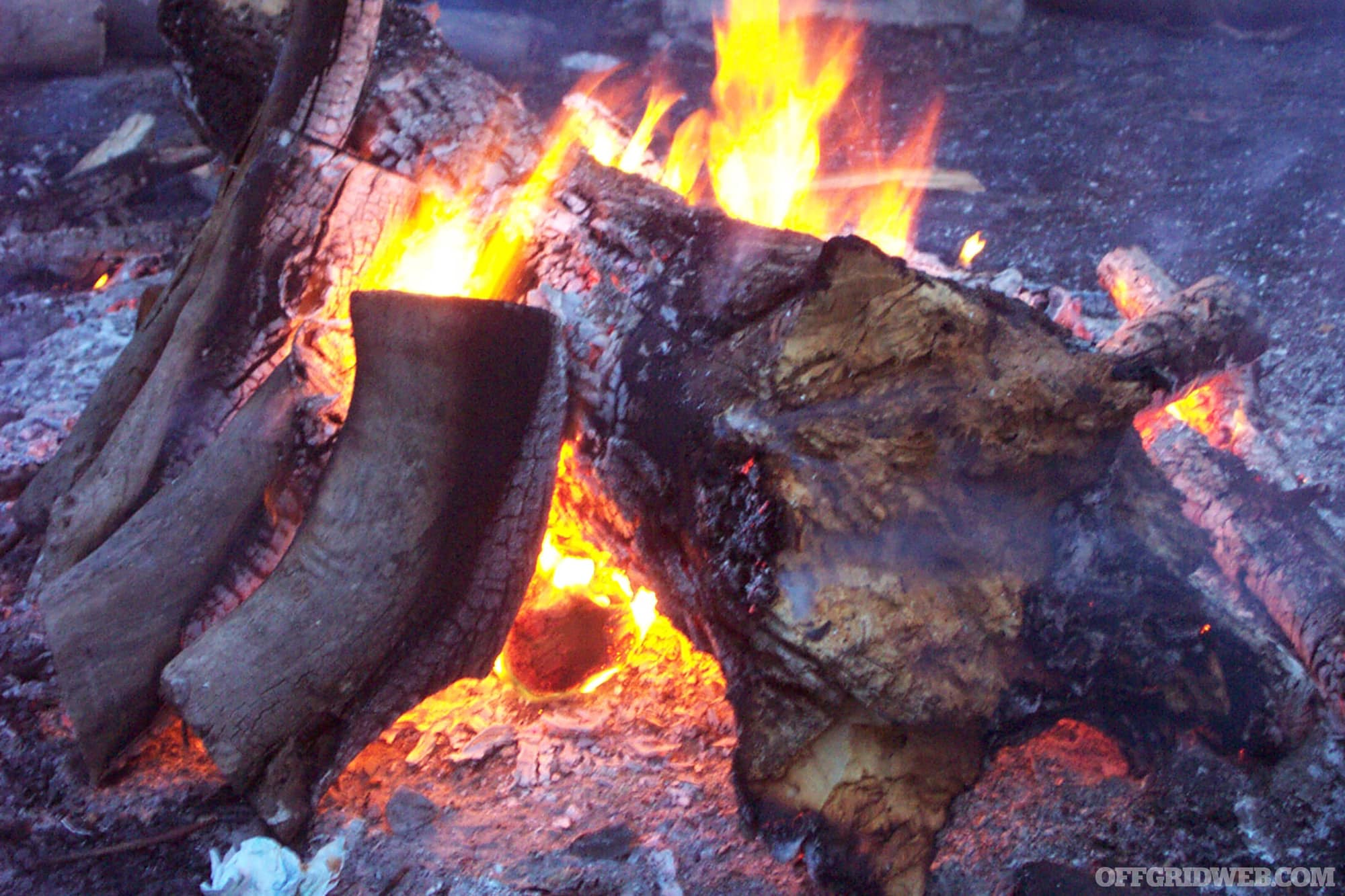 Trench Foot Treatment & Prevention | RECOIL OFFGRID