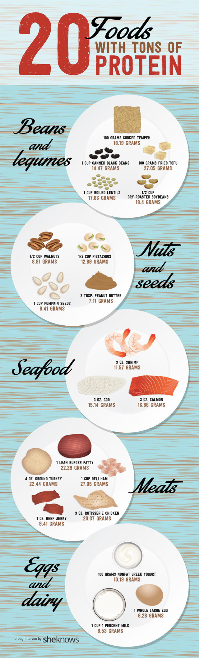 Infographic: Protein-Rich Foods | RECOIL OFFGRID