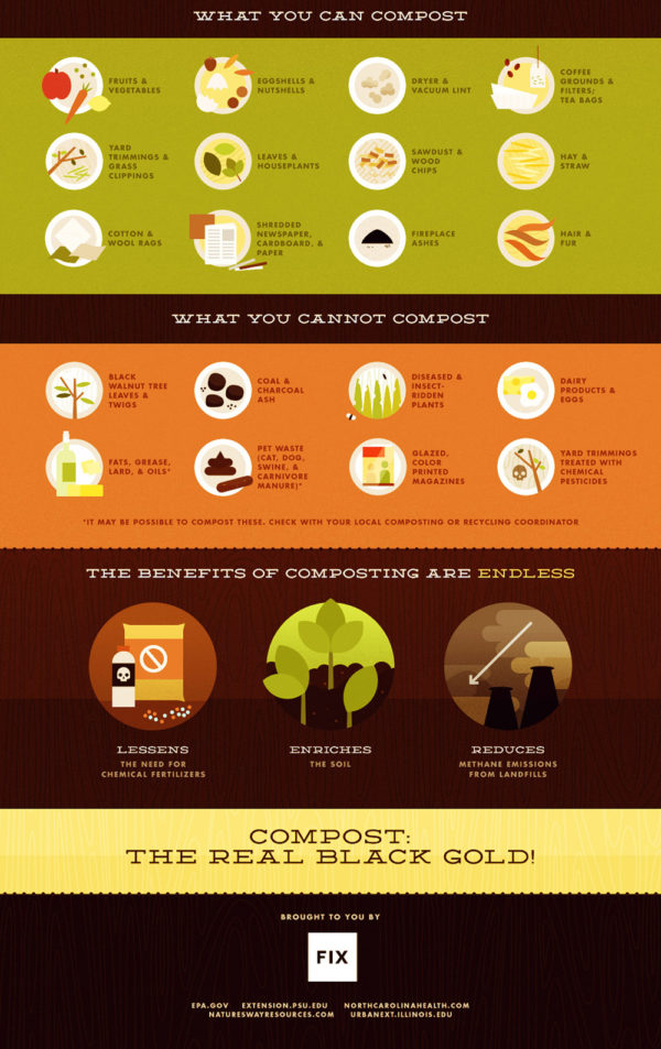 Infographic: Comprehensive Guide to Composting | RECOIL OFFGRID