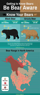 Infographic: Safety Tips for Bear Country | RECOIL OFFGRID