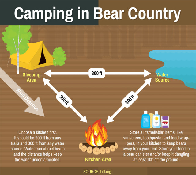 Infographic: Safety Tips for Bear Country | RECOIL OFFGRID