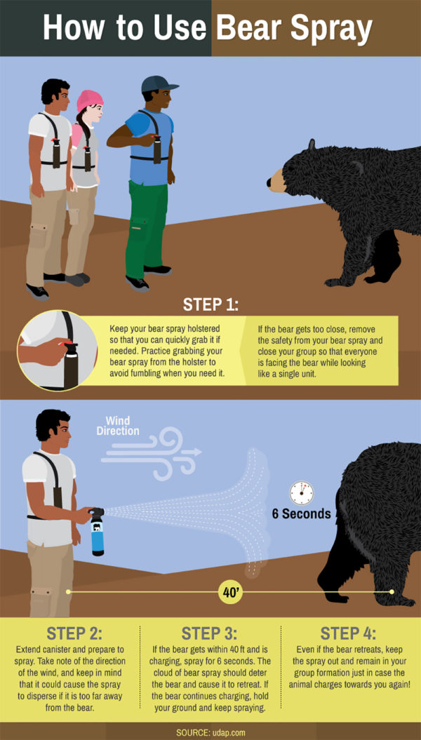 Infographic Safety Tips For Bear Country Recoil Offgrid 6170