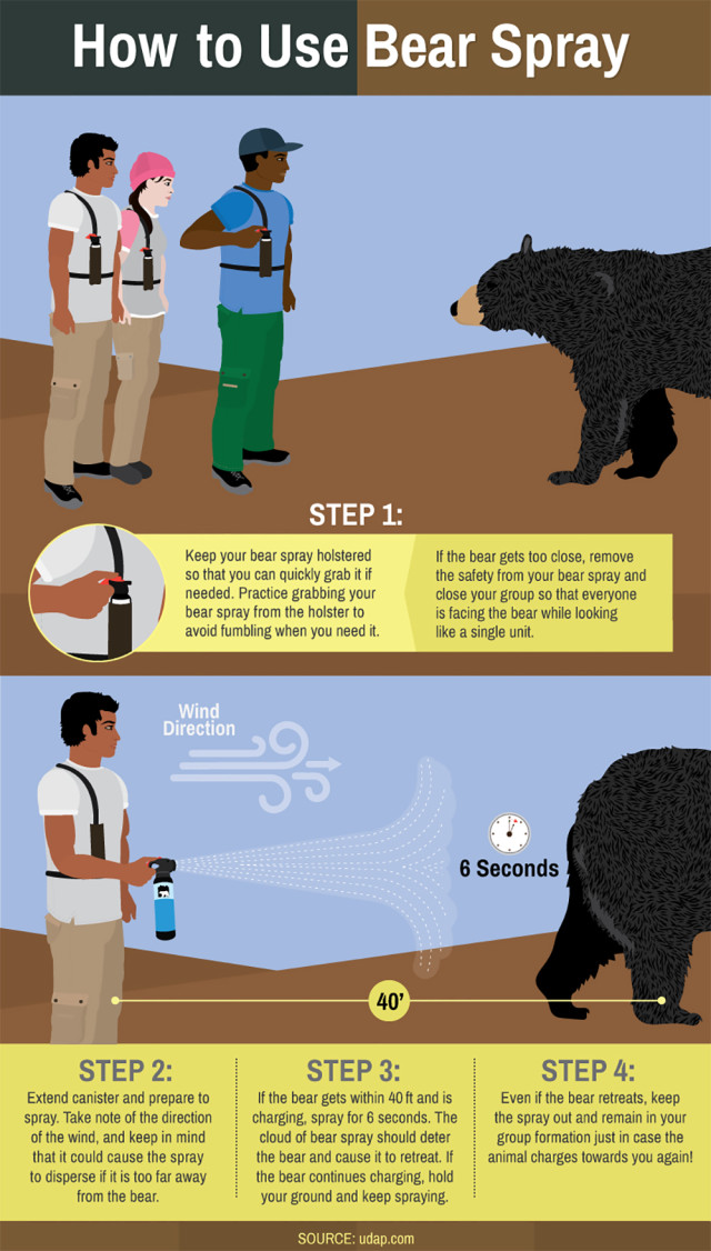 Infographic: Safety Tips for Bear Country | RECOIL OFFGRID