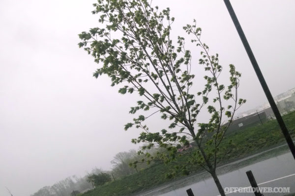 Surreptitious Entry and Exit: Bypassing Security When SHTF | RECOIL OFFGRID