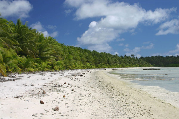 Survival Scenarios: Desert Island Dilemma | RECOIL OFFGRID