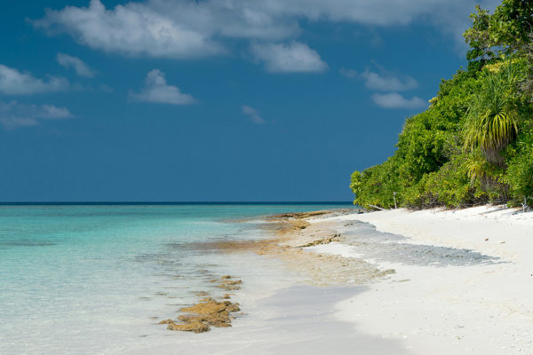 Survival Scenarios: Desert Island Dilemma | RECOIL OFFGRID