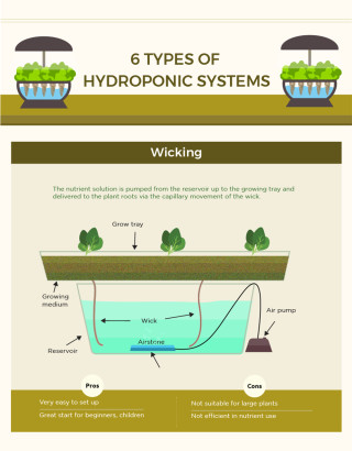 Infographic: The Art of Hydroponic Gardening | RECOIL OFFGRID