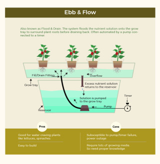 Infographic: The Art of Hydroponic Gardening | RECOIL OFFGRID