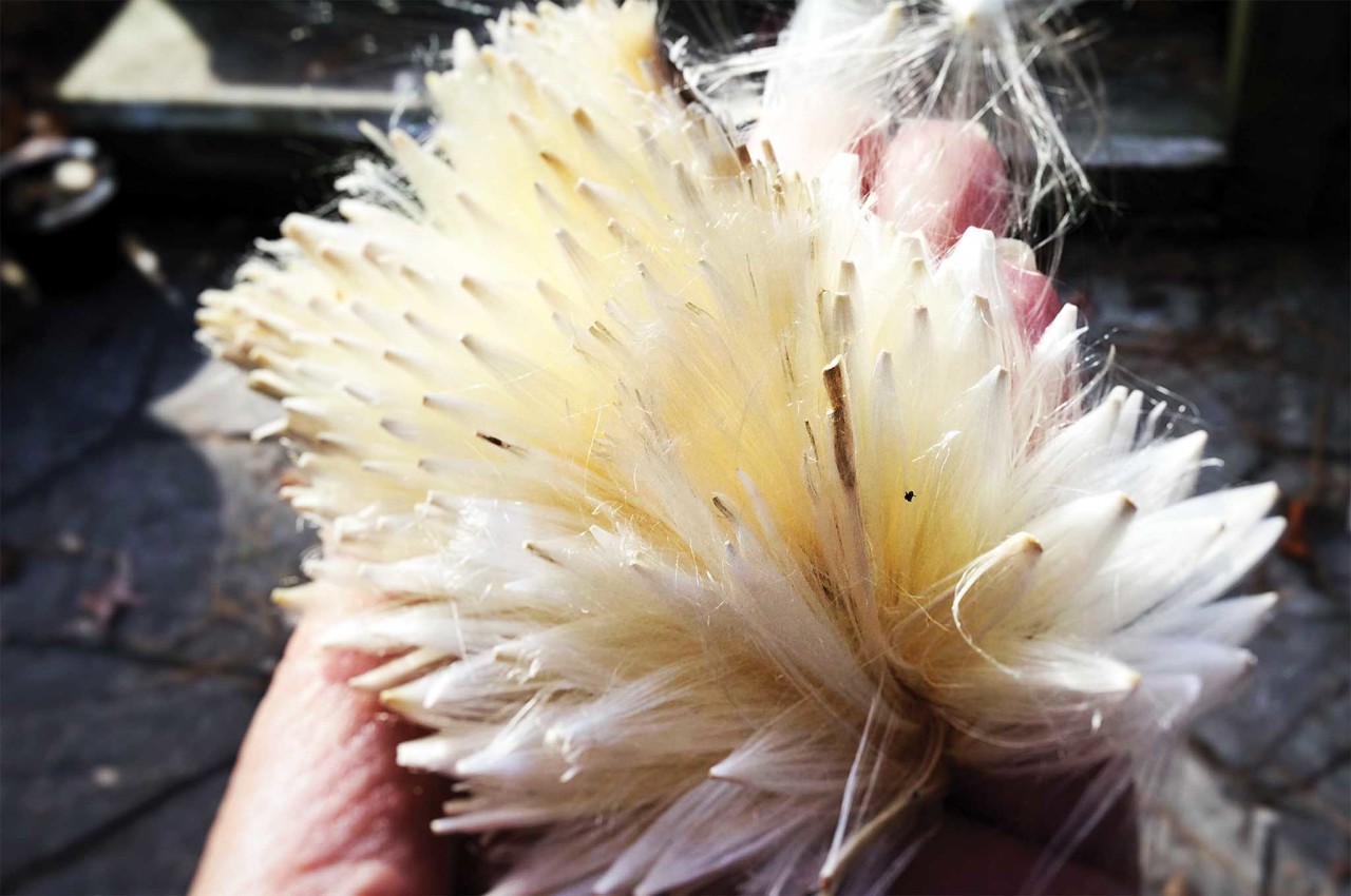 Survival Hygiene - Wilderness Wash-Up | RECOIL OFFGRID