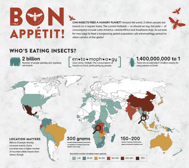 Infographic: Edible Insects | RECOIL OFFGRID