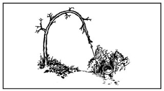 Survival Trapping: 4 Easy Traps to Learn | RECOIL OFFGRID