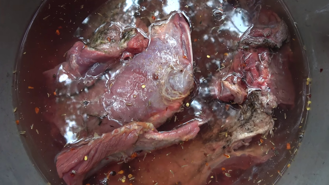 Video: How to Trap, De-Gland, & Cook a Raccoon | RECOIL OFFGRID