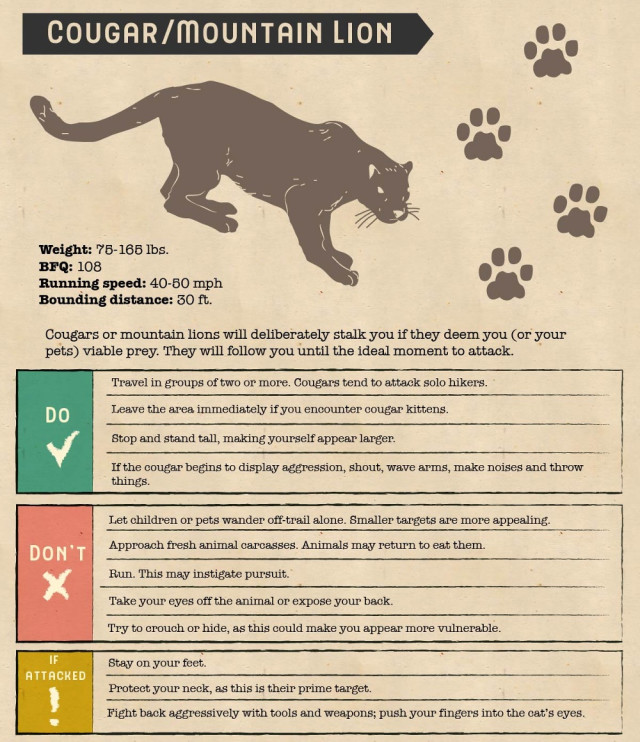 Infographic: North America's Primary Predators | RECOIL OFFGRID