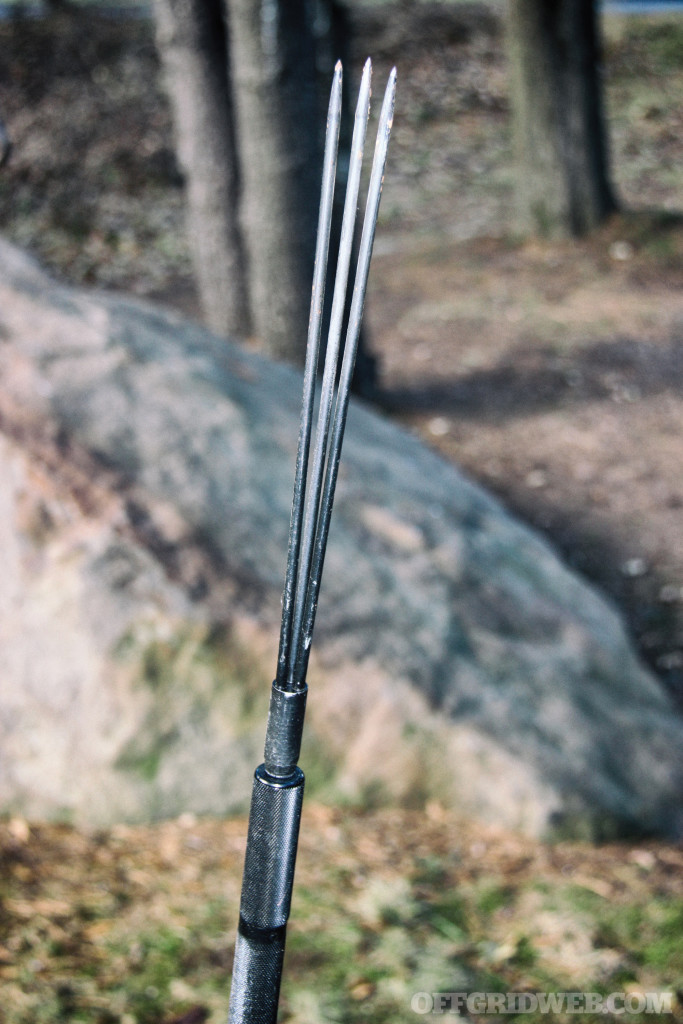 Sticking Points: Creating Improvised Spear Heads | RECOIL OFFGRID