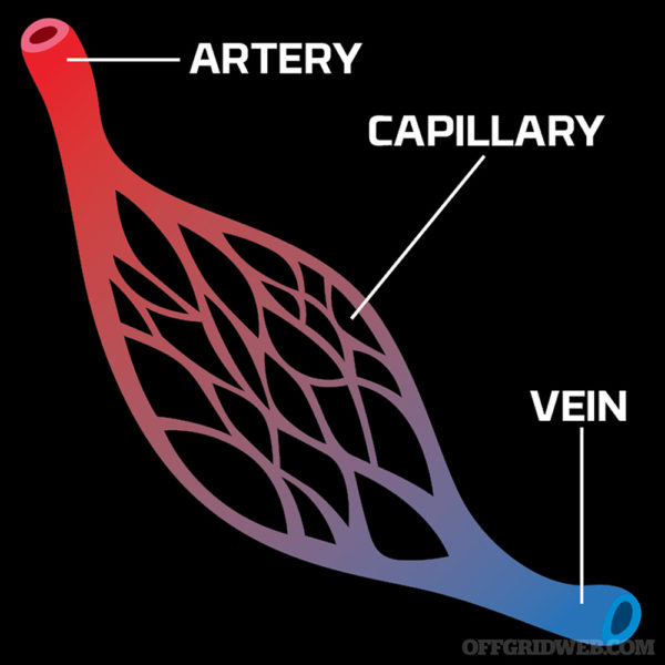 Plug 'Em Up: Puncture Wound First Aid | RECOIL OFFGRID