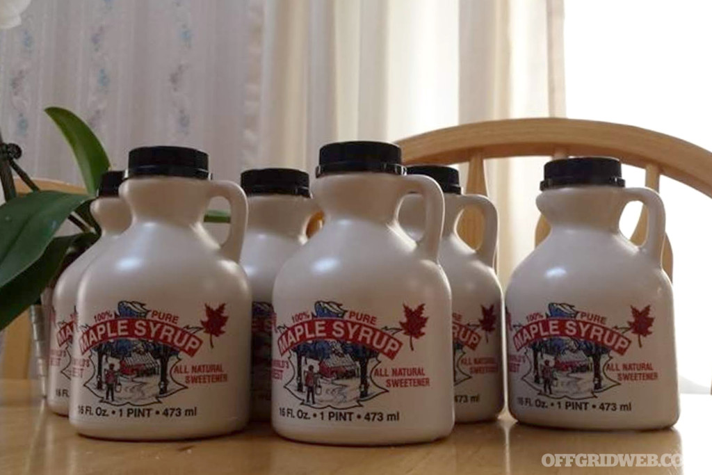 How to Make Syrup from Maples & Other Trees | RECOIL OFFGRID