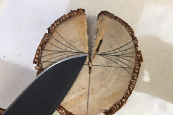 Review: African Sun Compass | RECOIL OFFGRID