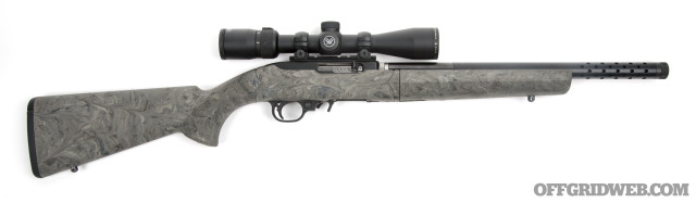 Buyer's Guide: Three 10/22 Takedown Stocks | RECOIL OFFGRID