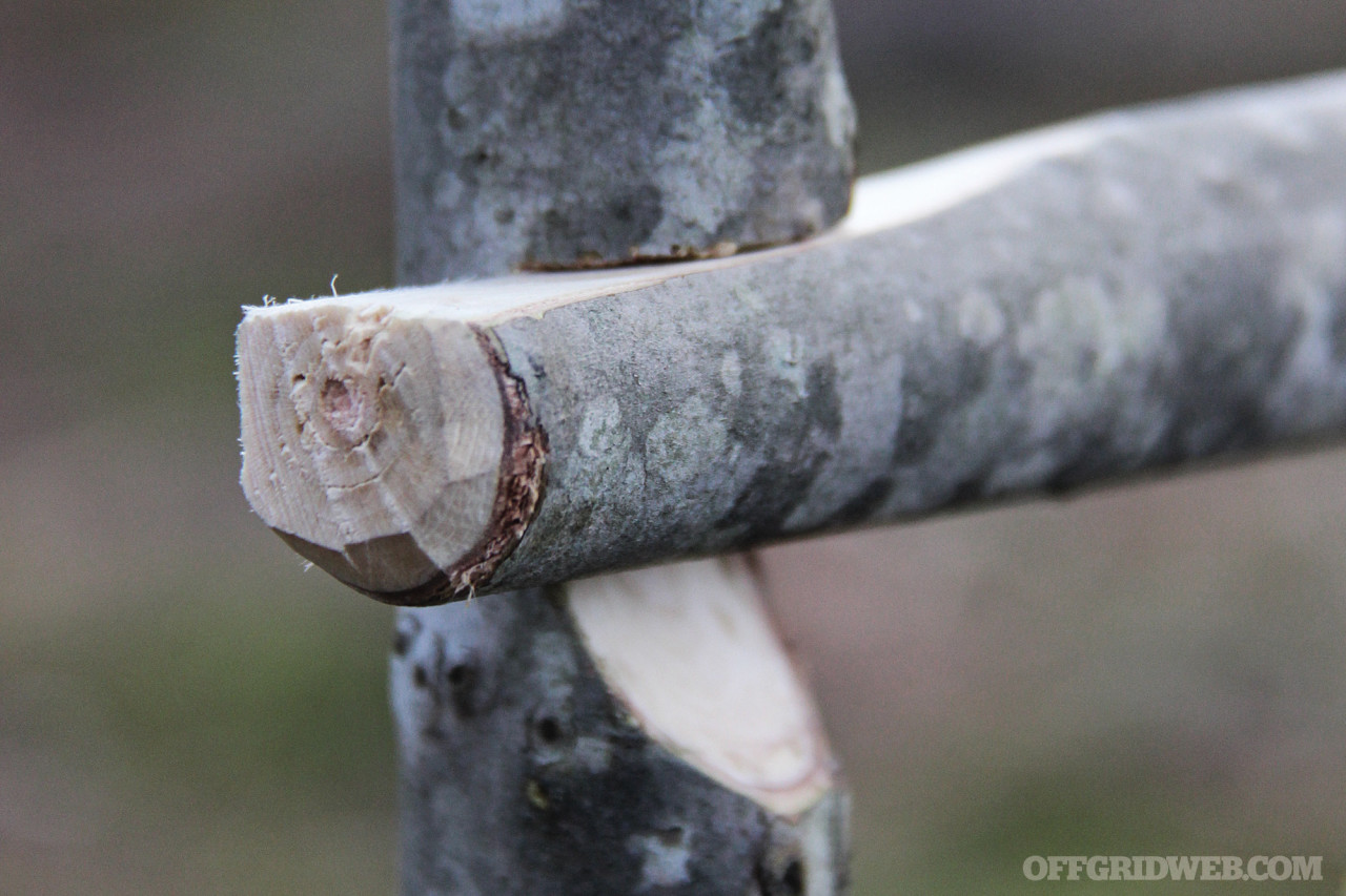 6 Trap Triggers for Survival | RECOIL OFFGRID