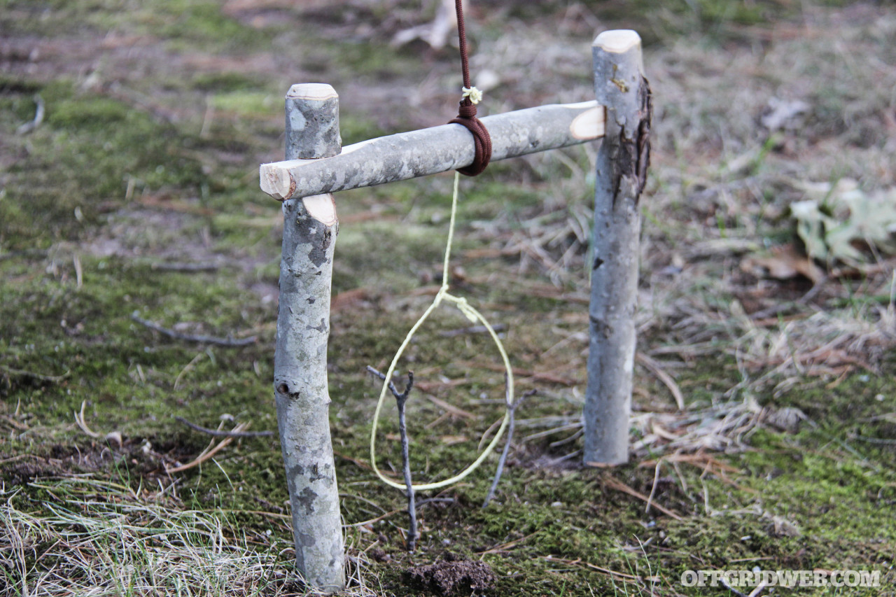 6 Trap Triggers for Survival | RECOIL OFFGRID