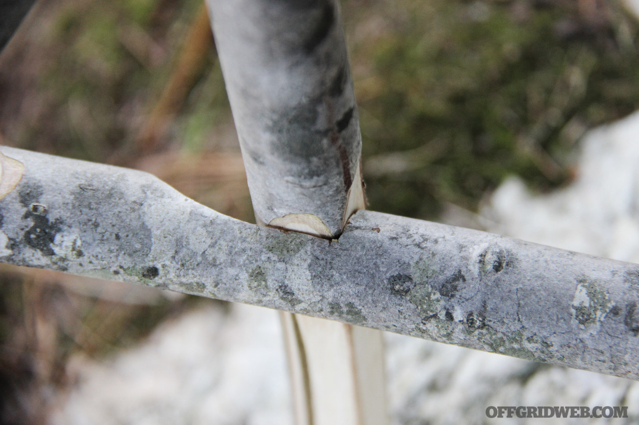 6 Trap Triggers for Survival | RECOIL OFFGRID