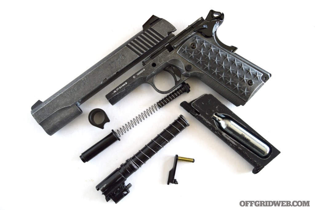 Survival BB Guns: Backyard Shooting Gallery | RECOIL OFFGRID