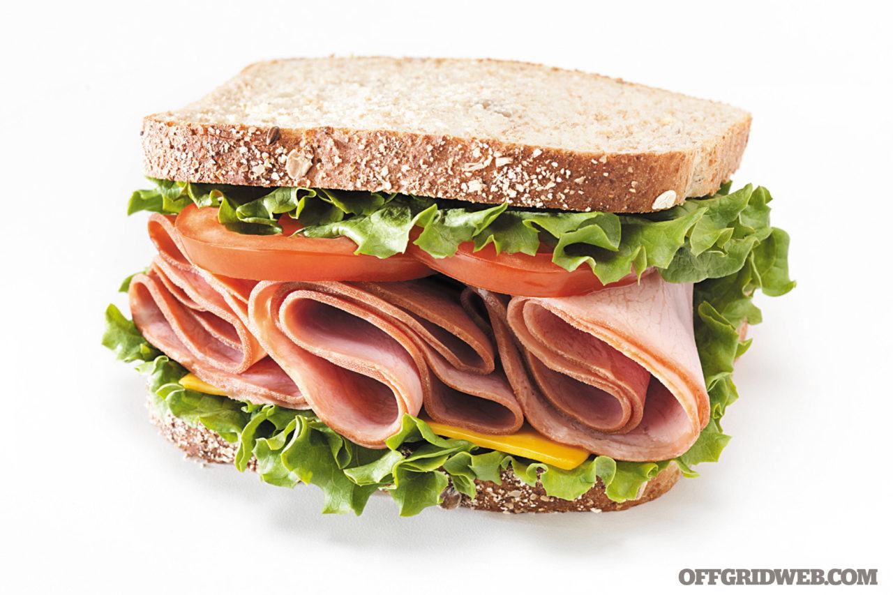 Food for Thought: How Long Can You Survive on Multi-Vitamins? | RECOIL ...