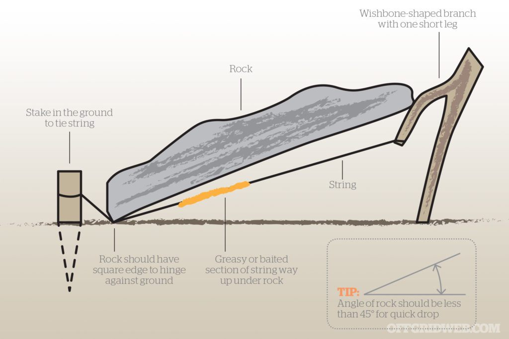 It's a Trap! - Small Game Trapping Tips for Survival | RECOIL OFFGRID