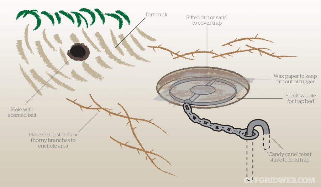 It's a Trap! - Small Game Trapping Tips for Survival | RECOIL OFFGRID