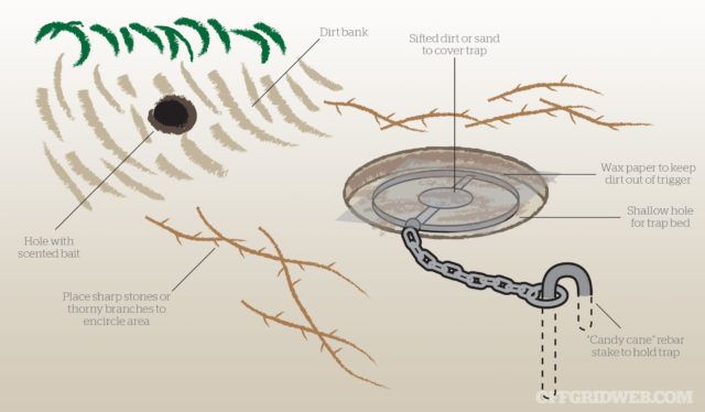 It's a Trap! - Small Game Trapping Tips for Survival | RECOIL OFFGRID