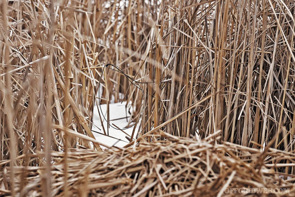 It's a Trap! - Small Game Trapping Tips for Survival | RECOIL OFFGRID