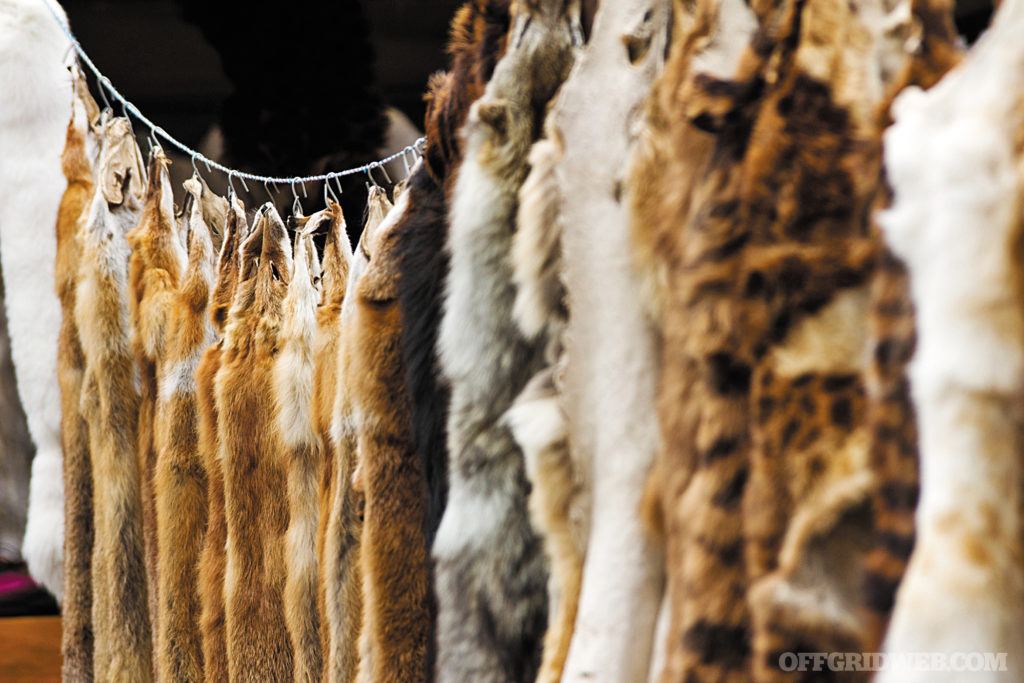 It's a Trap! - Small Game Trapping Tips for Survival | RECOIL OFFGRID