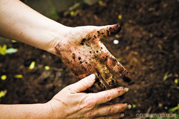 It's a Trap! - Small Game Trapping Tips for Survival | RECOIL OFFGRID