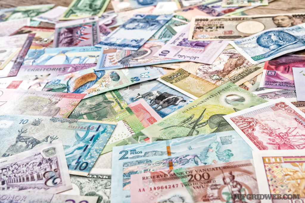 Surviving an Economic Collapse | RECOIL OFFGRID