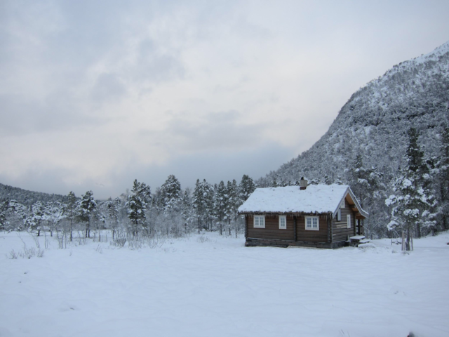 Rally Points: Considerations for Planning and Using Them | RECOIL OFFGRID