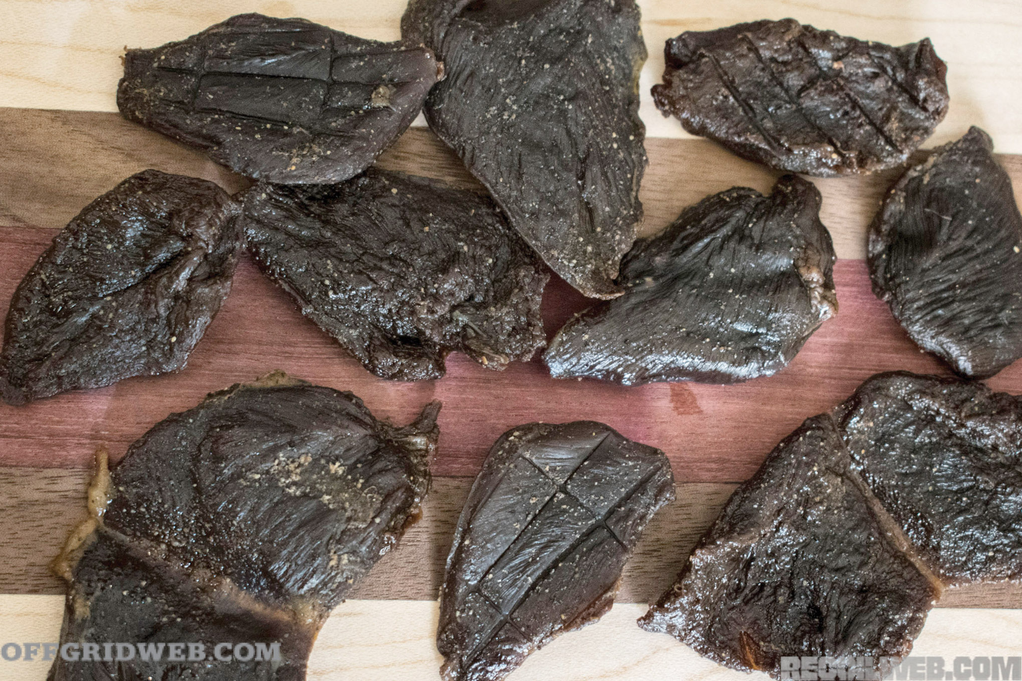 Dehydrating Food: A Survivalist's Guide | RECOIL OFFGRID