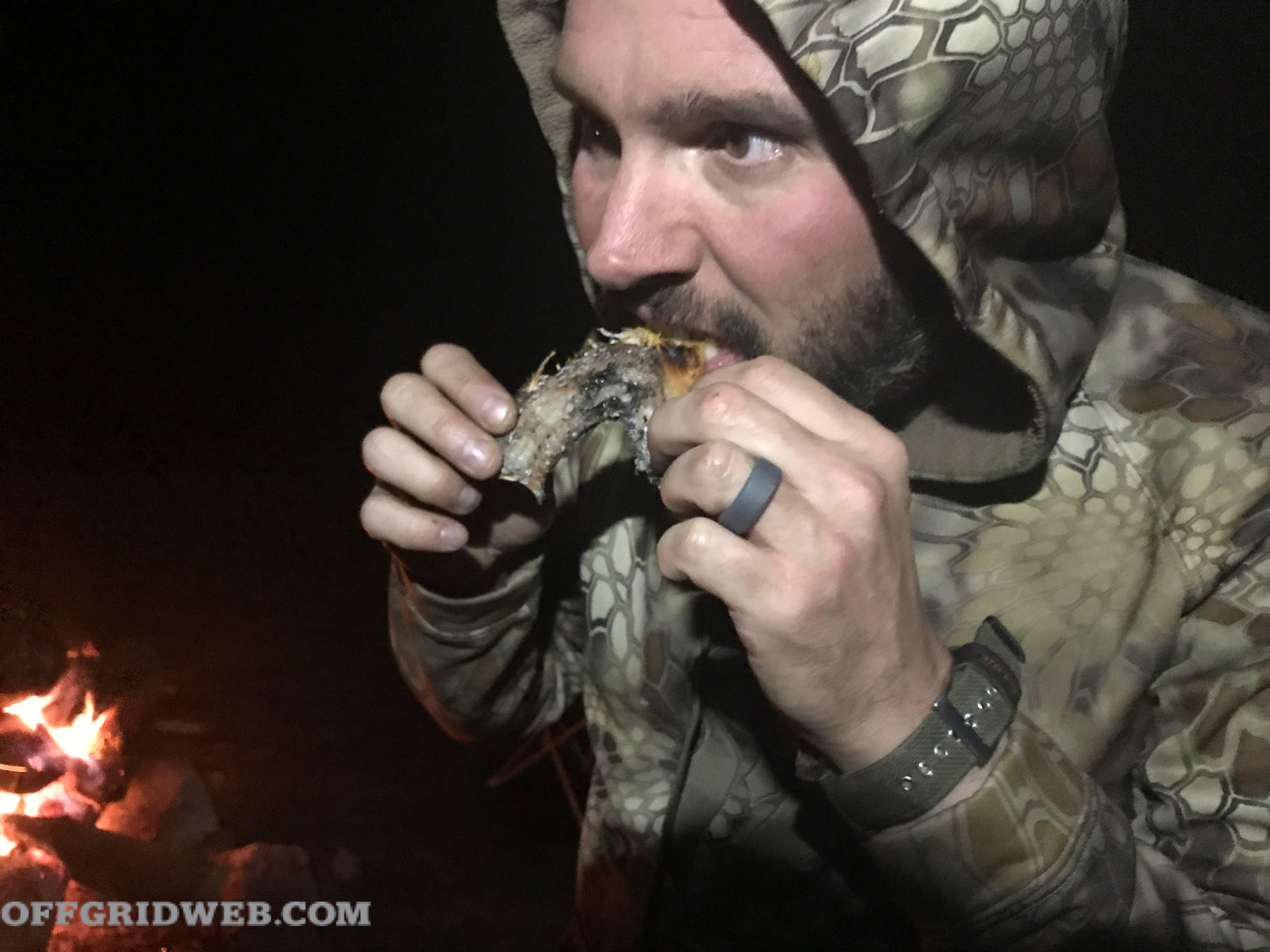 Scaly Supper: An Overview to Hunting Reptiles | RECOIL OFFGRID