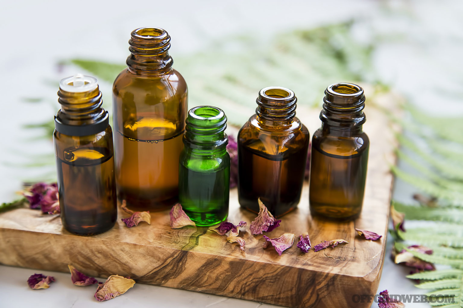 Improvised Antiseptics for Preventing Infection | RECOIL OFFGRID