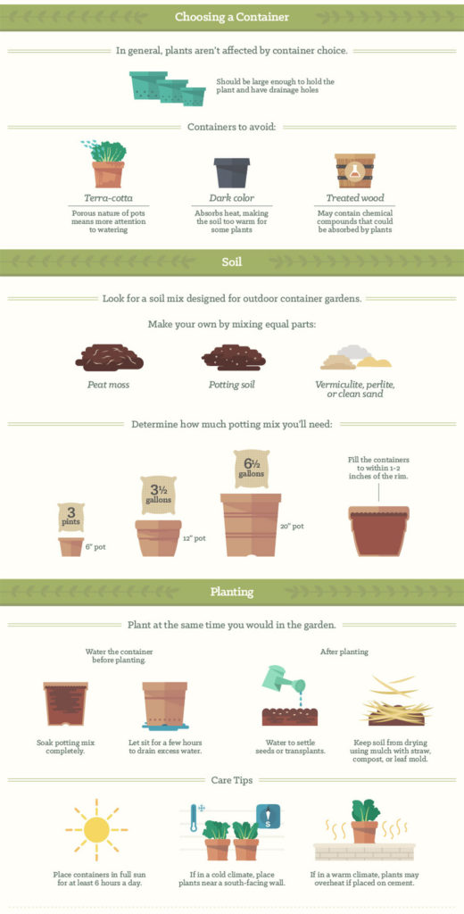 Infographic: Backyard Gardening Tips for Vegetables, Fruits, and Herbs ...