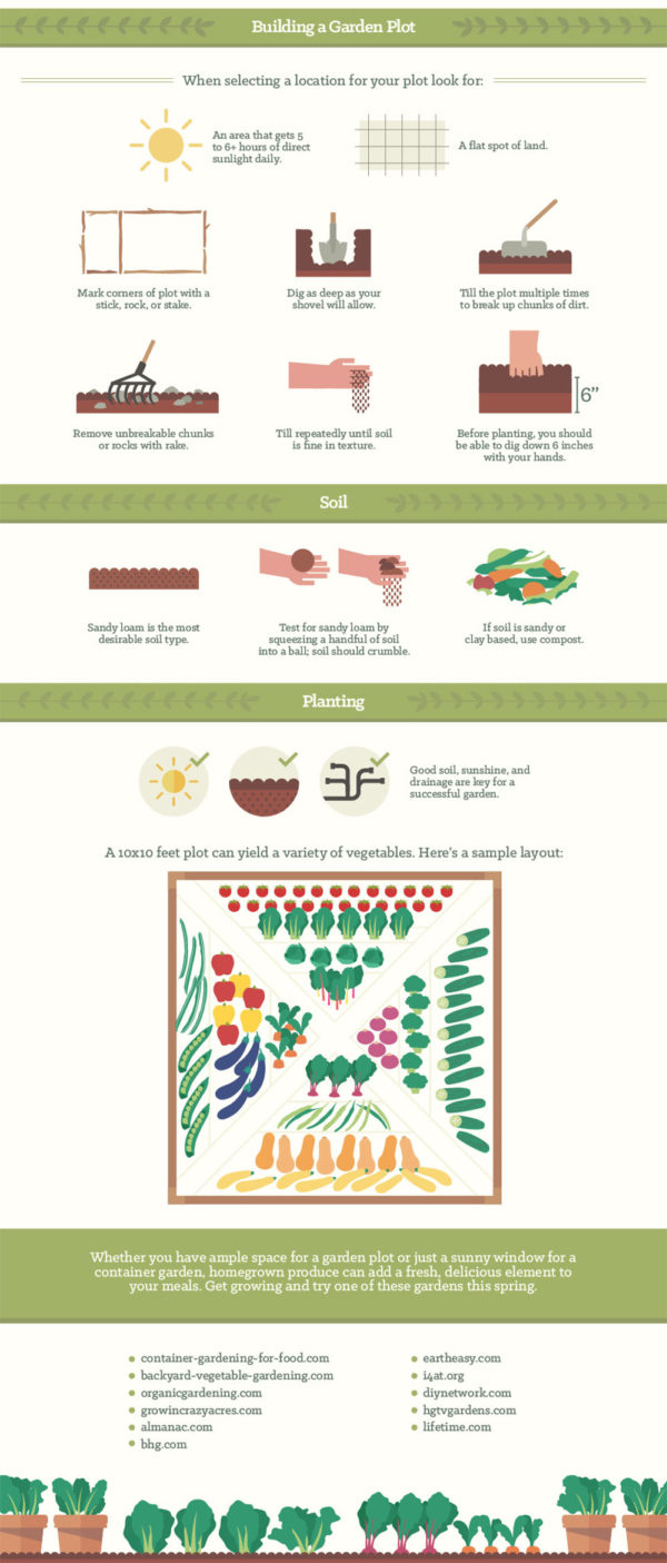 Infographic: Backyard Gardening Tips for Vegetables, Fruits, and Herbs ...