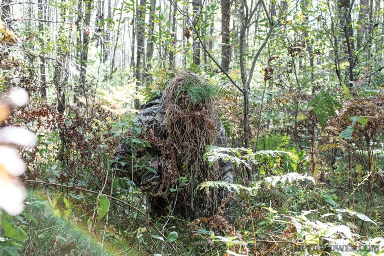 Camouflage and Concealment 101: Honing the Art of Sensory Defeat ...