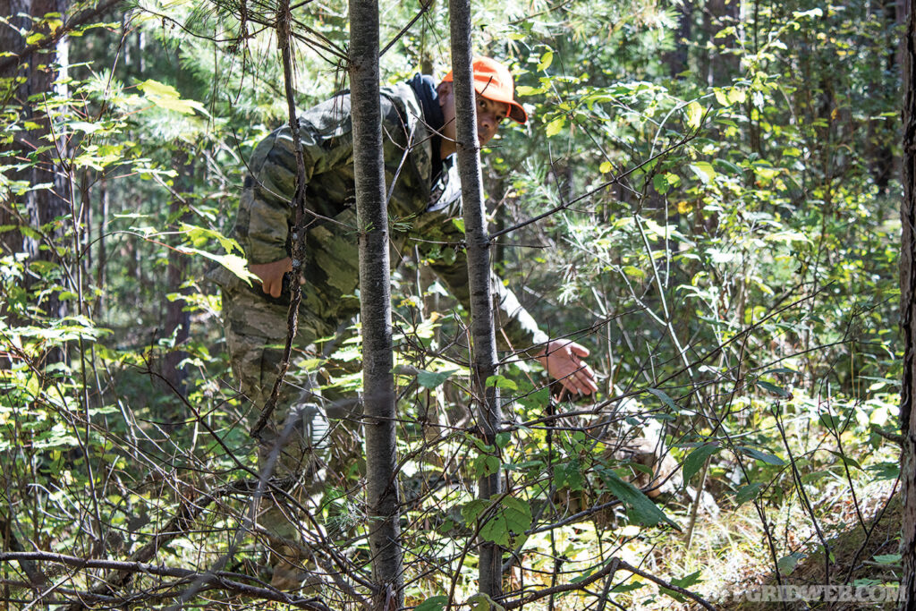 Camouflage and Concealment 101: Honing the Art of Sensory Defeat ...