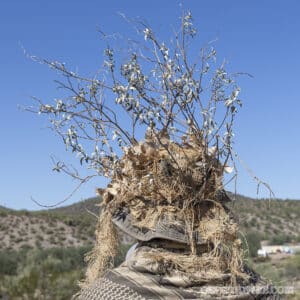 Desert Camouflage Tips from Greenside Training's Arizona Camo Class ...